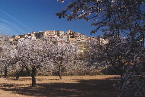 genies3 - Cap Catalogne